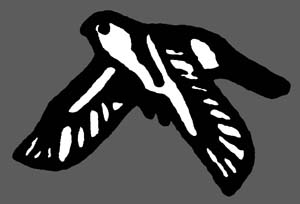 SUBMISSIONS – Osiris Poetry